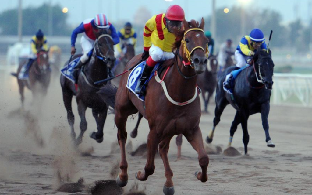 New horse racing season kicks off in Kuwait – Seal News LEADING ORIENTAL
