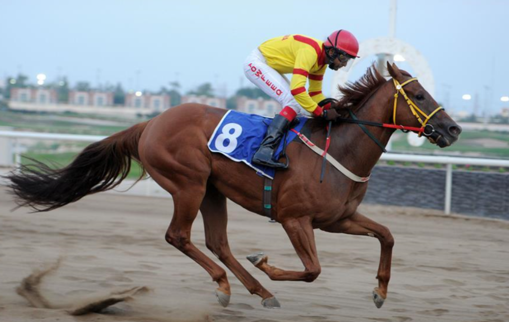 New horse racing season kicks off in Kuwait – Seal News LEADING ORIENTAL